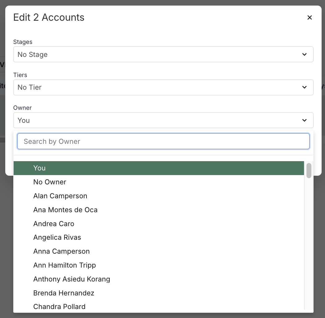 Update the Account Owner